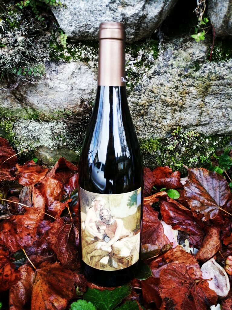 Domaine Gangloff – Condrieu 2023 – Les Jolies Cuvées